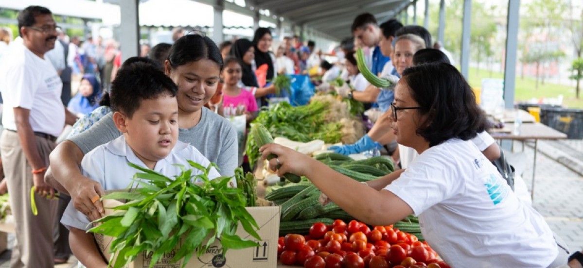 The Lost Food Project rescues surplus food to feed the hungry | Options ...