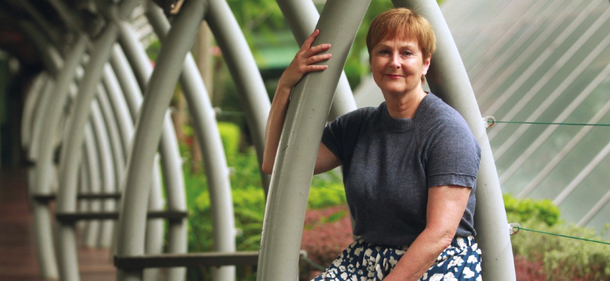 Author Carol Jones shares her secret to crafting historical fiction ...