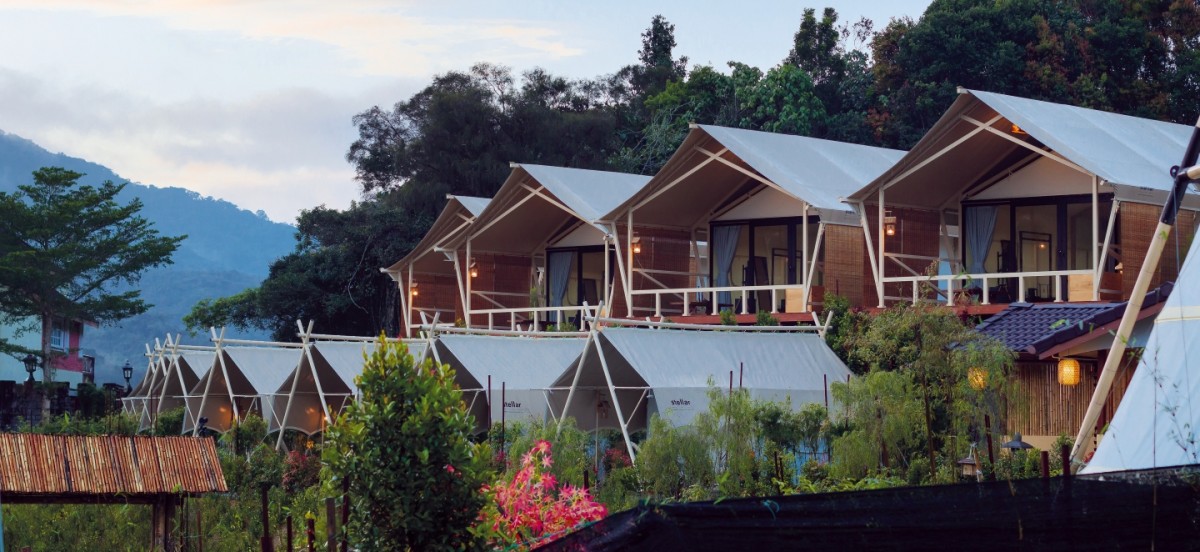 A tranquil glamping retreat awaits at Zen by Stellar in Cameron ...